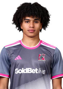 Alpak FC: tutte le informazioni, notizie e risultati | Kings League ...